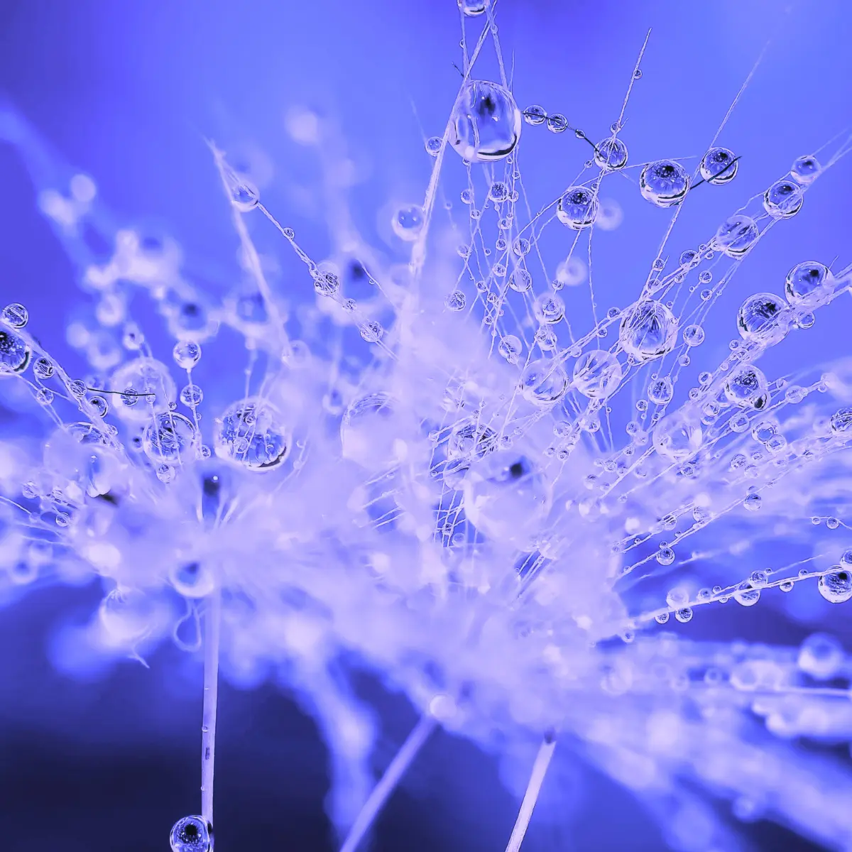 HeyMarvin Achieves 400% Growth in Past Year